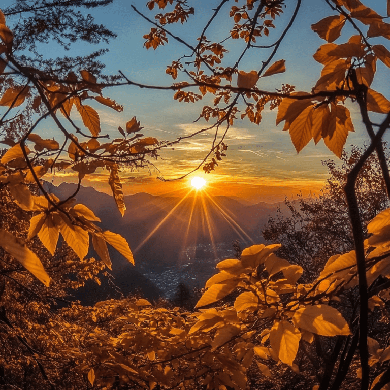 10+ Aesthetic Fall Scenes That Celebrate Nature's Vibrant ...