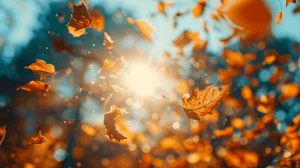 A Guide to Capturing the Essence of Fall Aesthetic in Your Home and ...